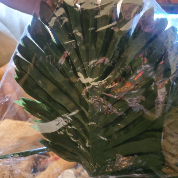 Other | Plastic Palms | Poshmark